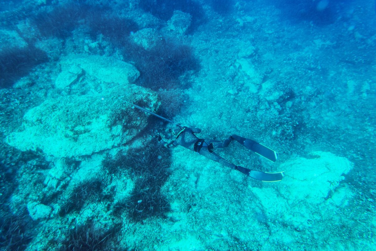 The Best Powerheads for Spearfishing in 2023